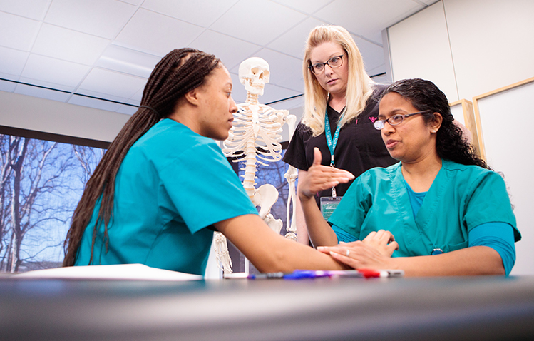 Occupational Therapy Programs | University of St. Augustine for Health ...