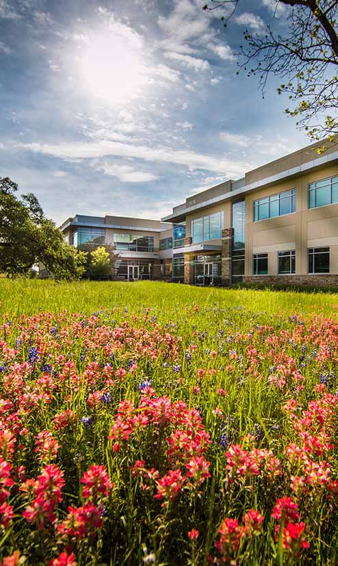 Graduate School with SLP, OT, & PT Programs in Austin, TX | USAHS