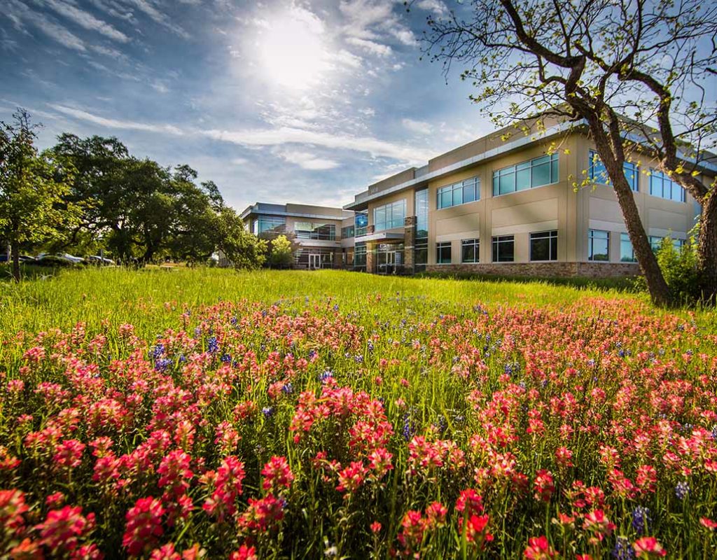 Discover and Experience Our University’s Campus Locations | USAHS