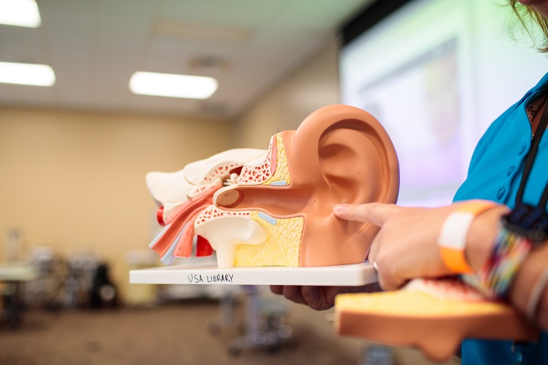 Guide to Speech-Language Pathologist Education | University of St ...