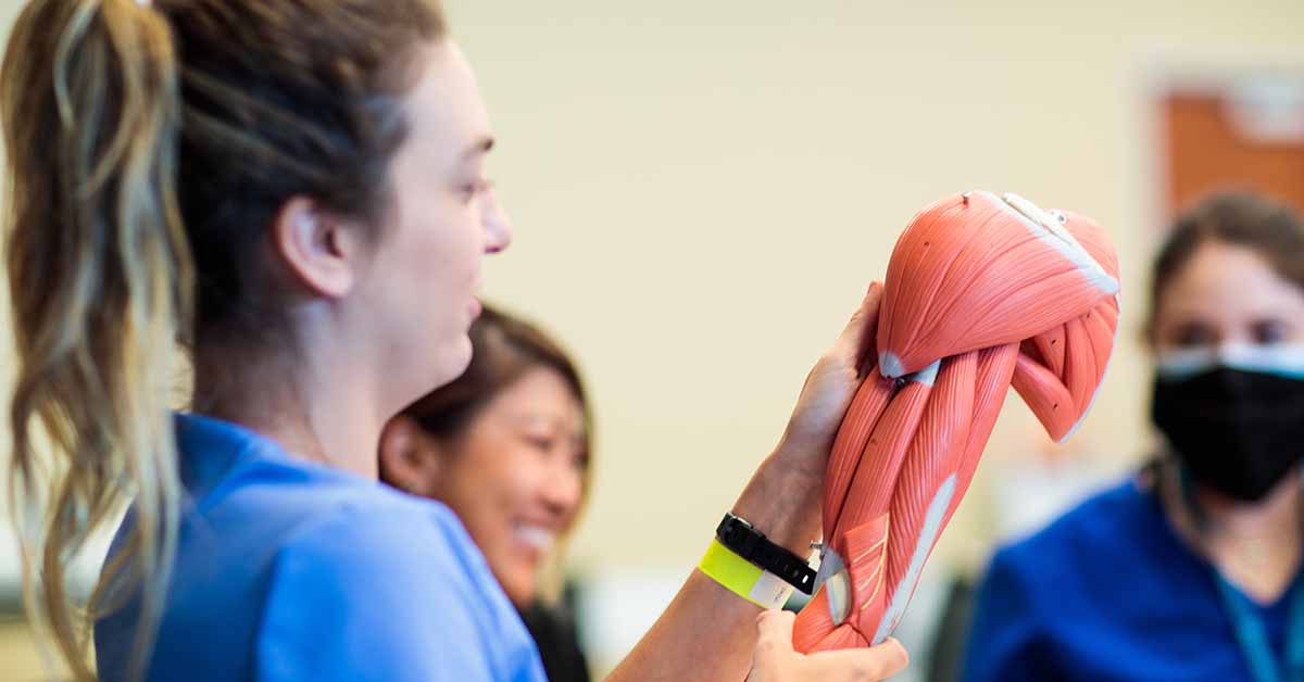 Choosing the Right Pathway for Your MOT | USAHS