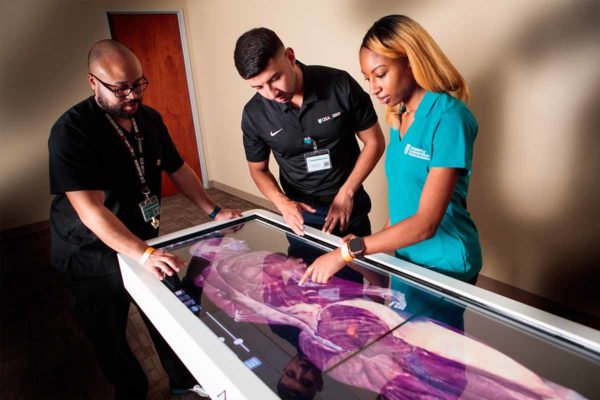 5 Best Undergraduate Degrees for Physical Therapy | USAHS