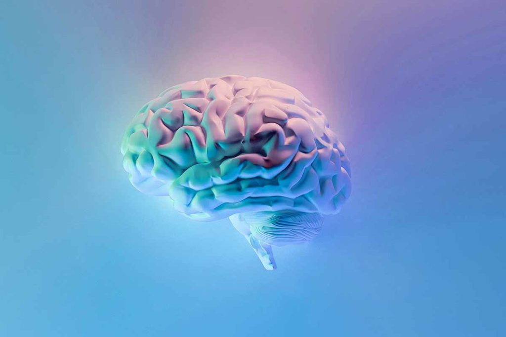 Promoting Mental Health Awareness: OTD Students Create Education Course ...
